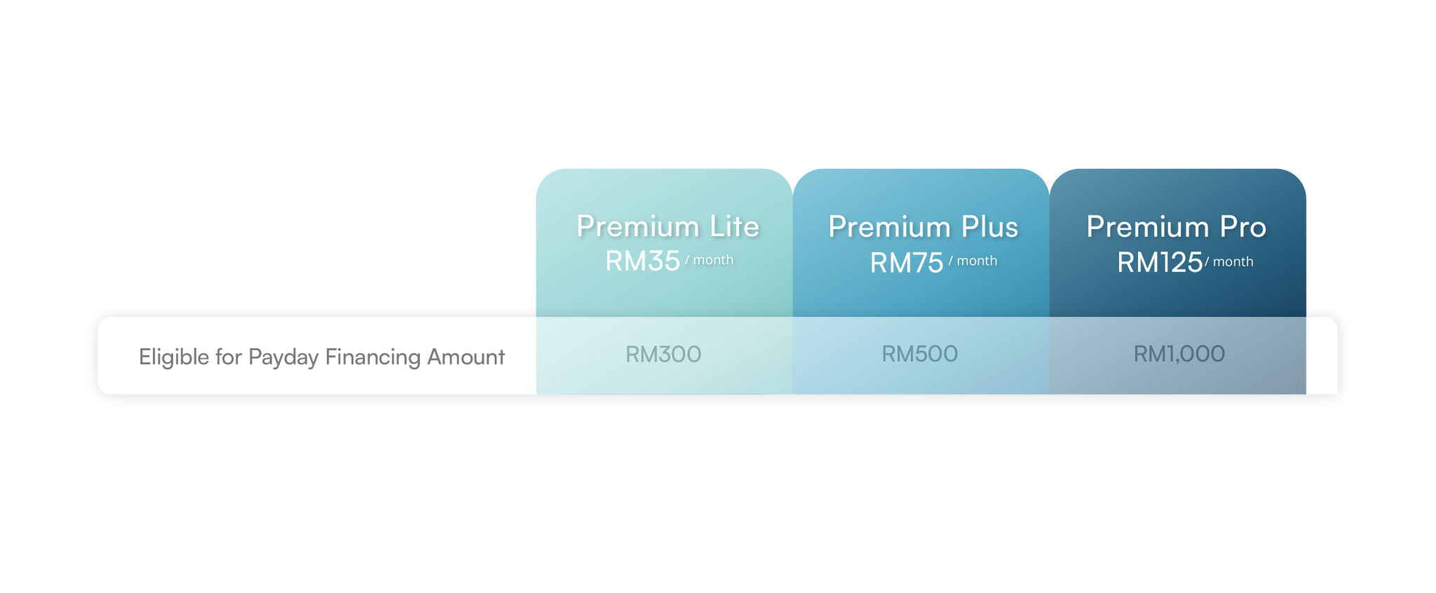 Payday Financing by IBPO Group